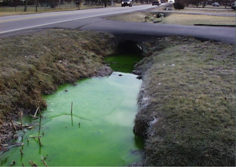 Dyeing Our Waterways | Reconnecting to Our Waterways